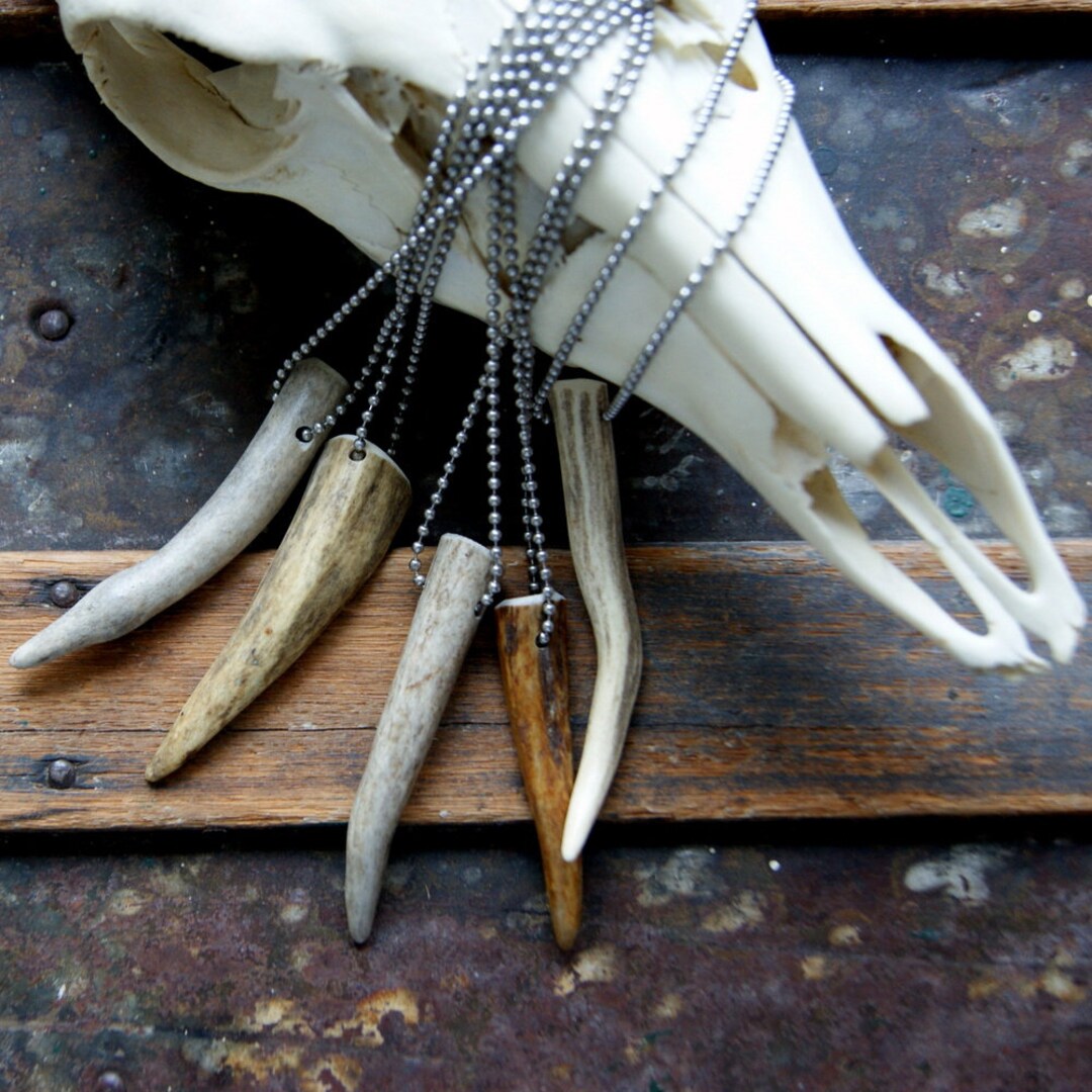 Antler Tip Necklace With Stainless Steel Ball Chain, Choose Between 1 ...