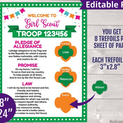 Girl Scout Troop Leader Planner - Etsy