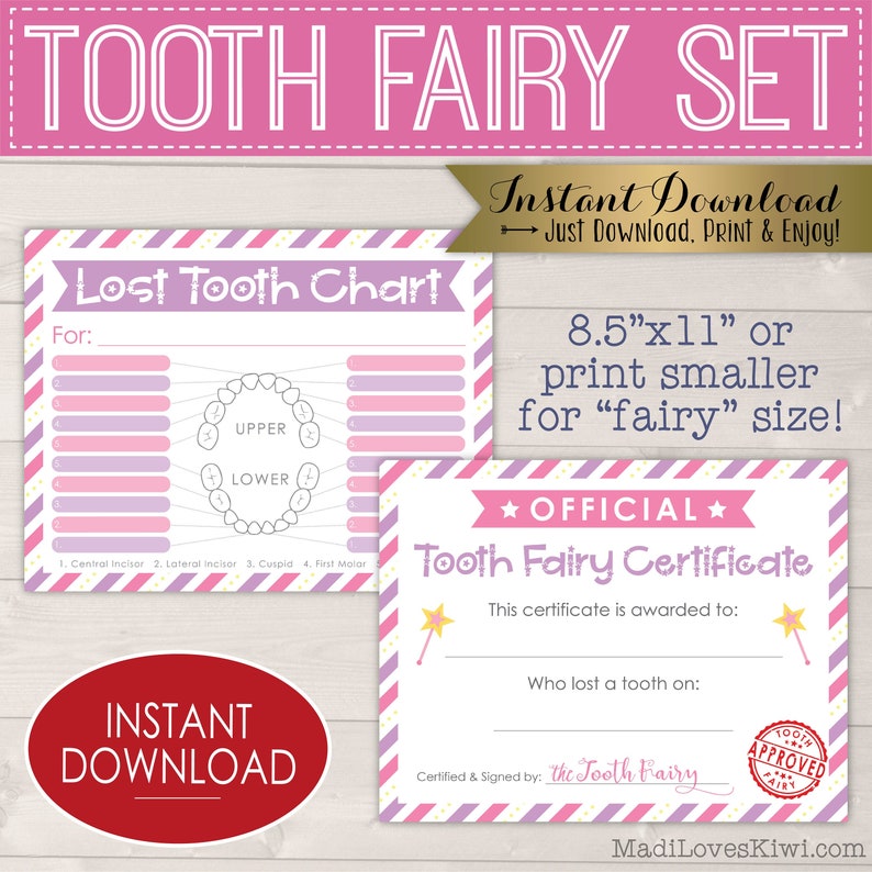 Official Certificate From Tooth Fairy Printable Lost Teeth - Etsy