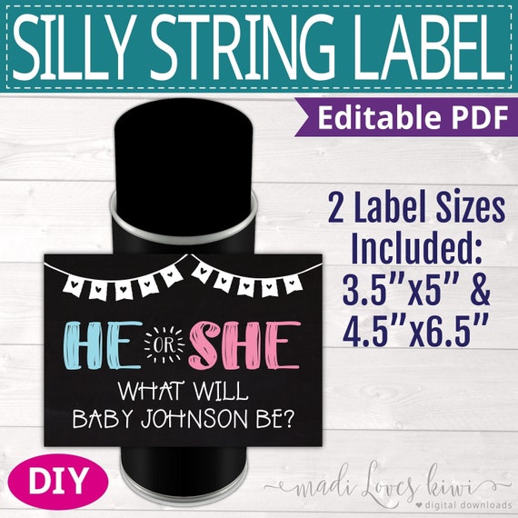 Personalized Gender Reveal Silly String Label, He or She Party ...
