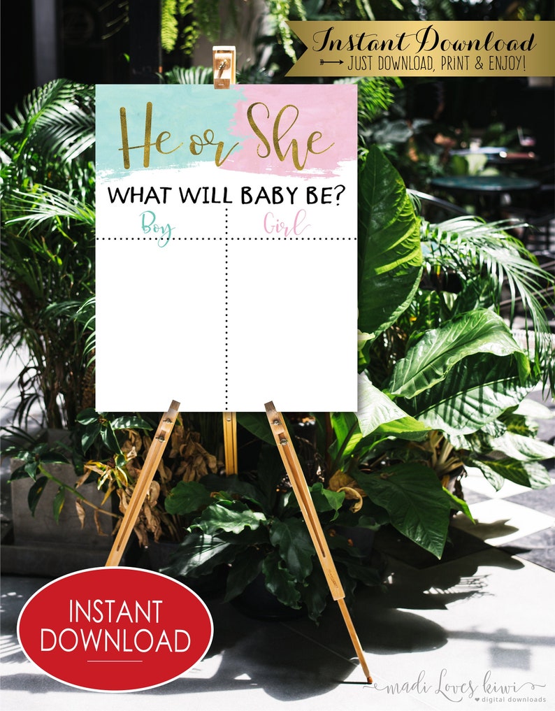 He or She Gender Reveal Party Voting Board Printable Vote | Etsy