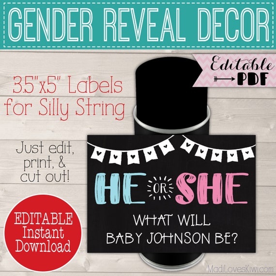 Personalized Gender Reveal Silly String Label, He or She Party ...
