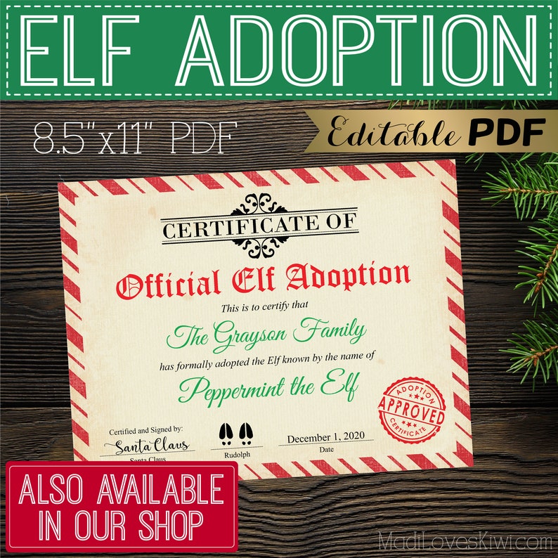 Editable Secret Message From Elf Printable Christmas - Etsy