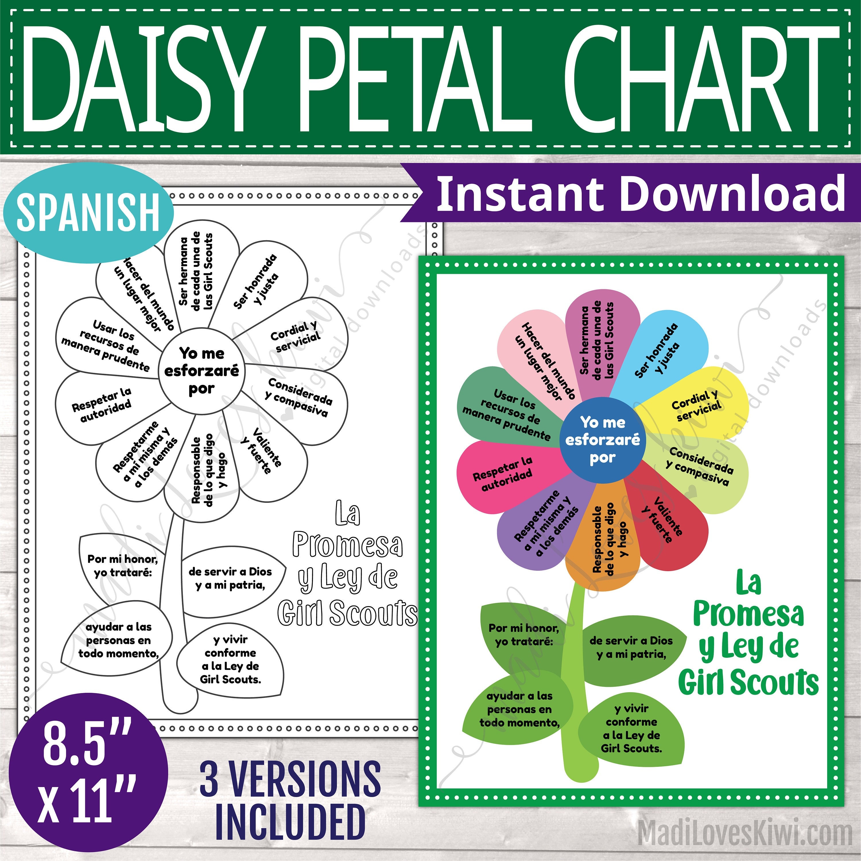 Girl Scout Daisy Flower Coloring Page