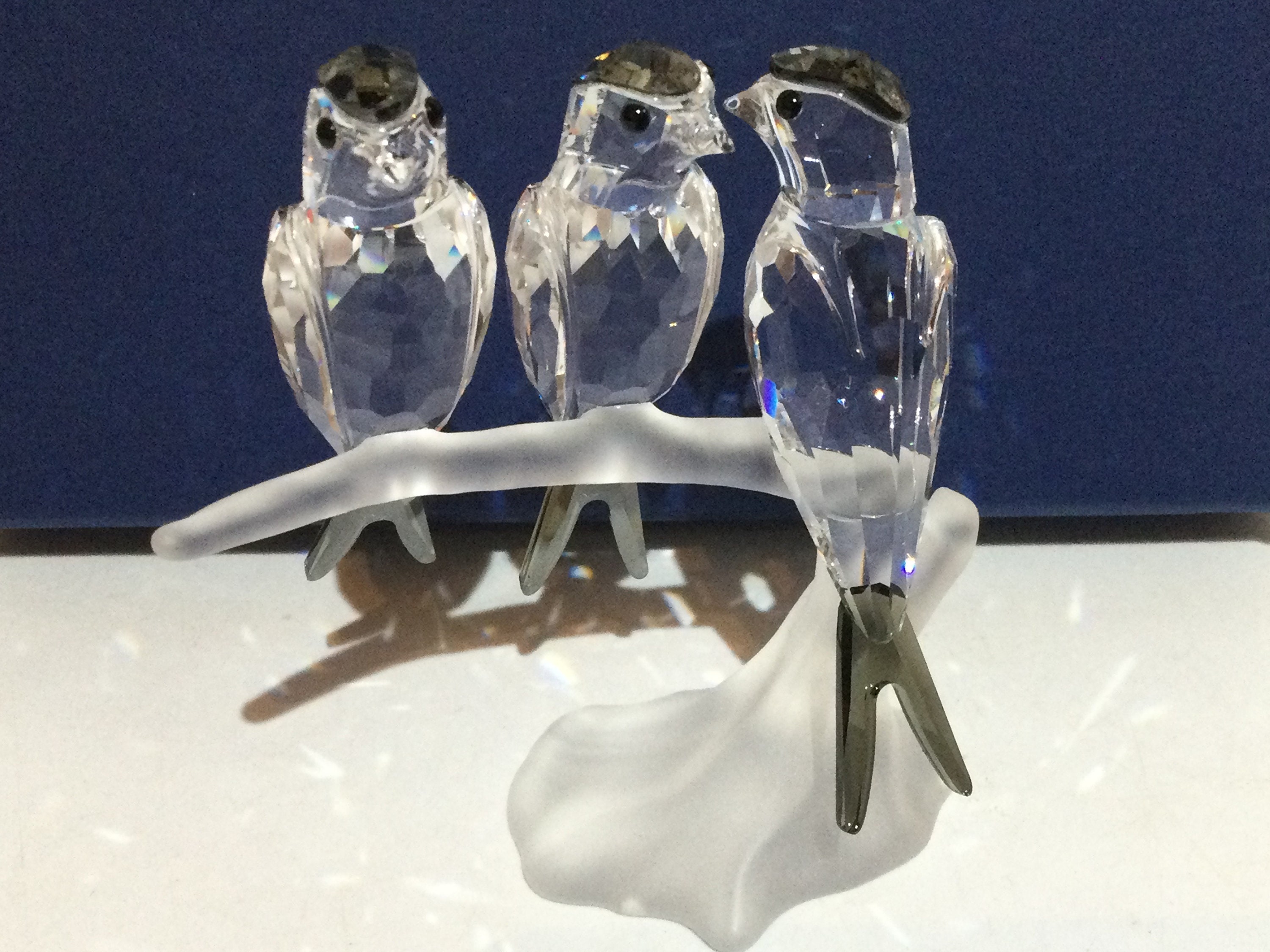 BOXED Swarovski Crystal SWALLOWS 892039 - Etsy