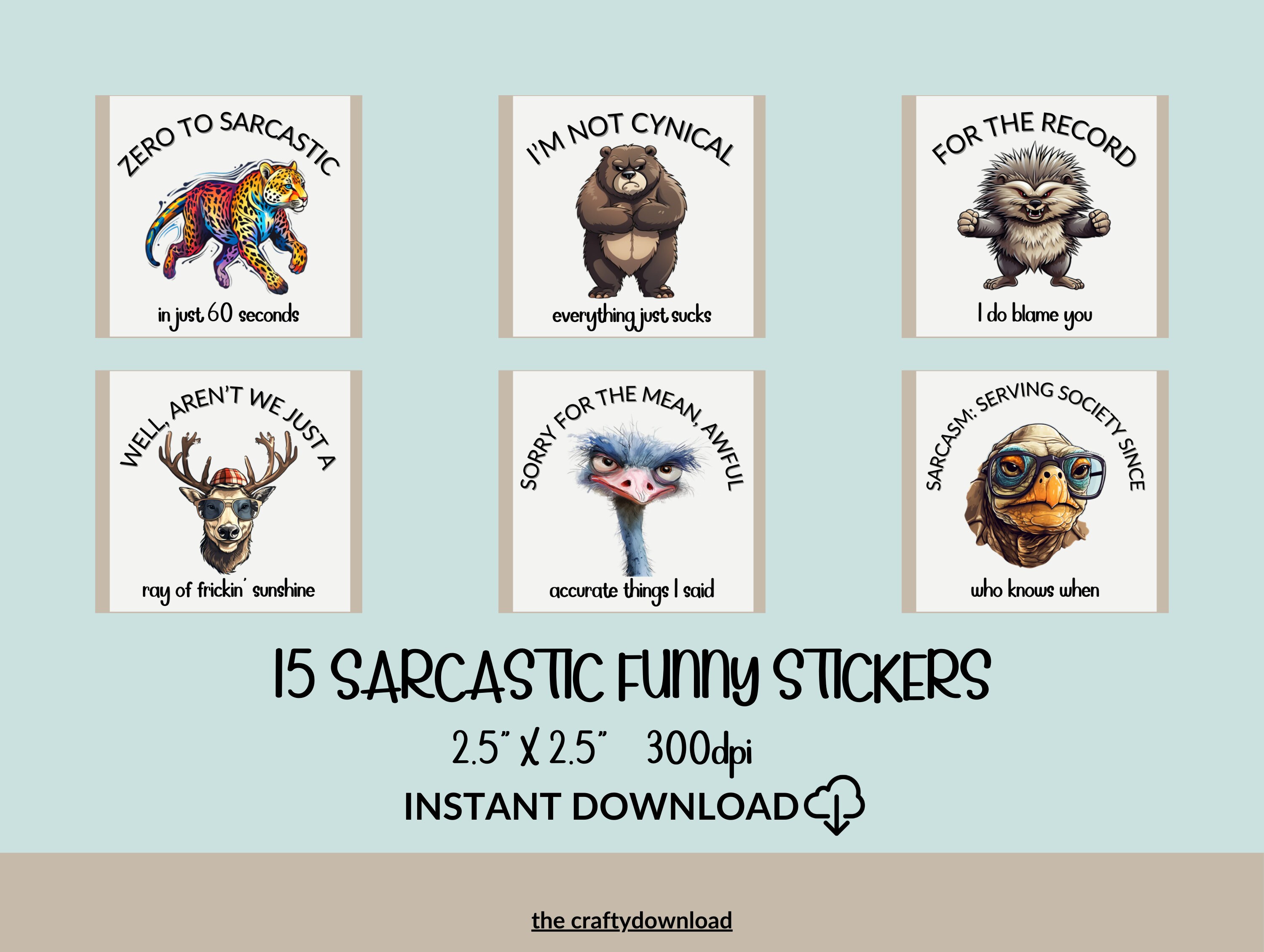 Funny and Trendy Sarcastic Sticker Bundle Inappropriate Laptop iPad ...