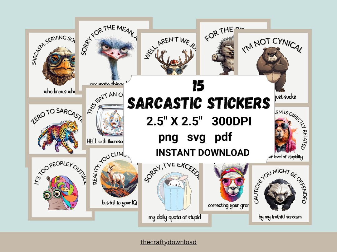 Funny and Trendy Sarcastic Sticker Bundle Inappropriate Laptop iPad ...