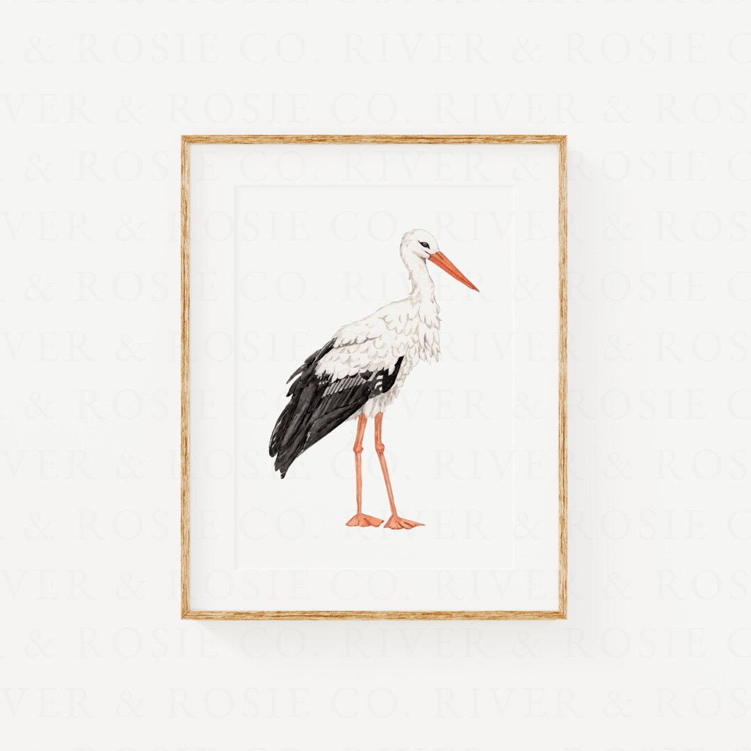 Watercolor Stork Art Print for Nursery Art Print Bird Illustration ...