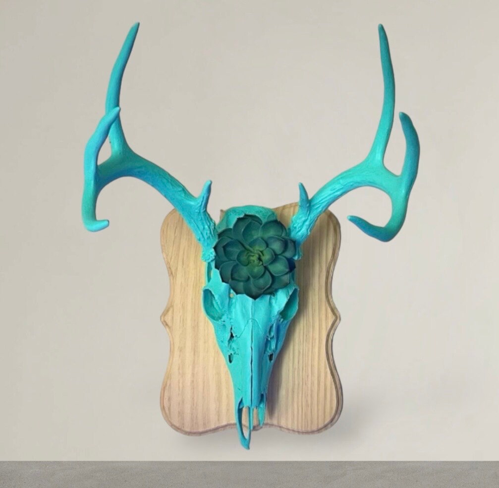 Turquoise Hand Painted Deer Skull Succulent Deer Skull Deer Skull Art ...
