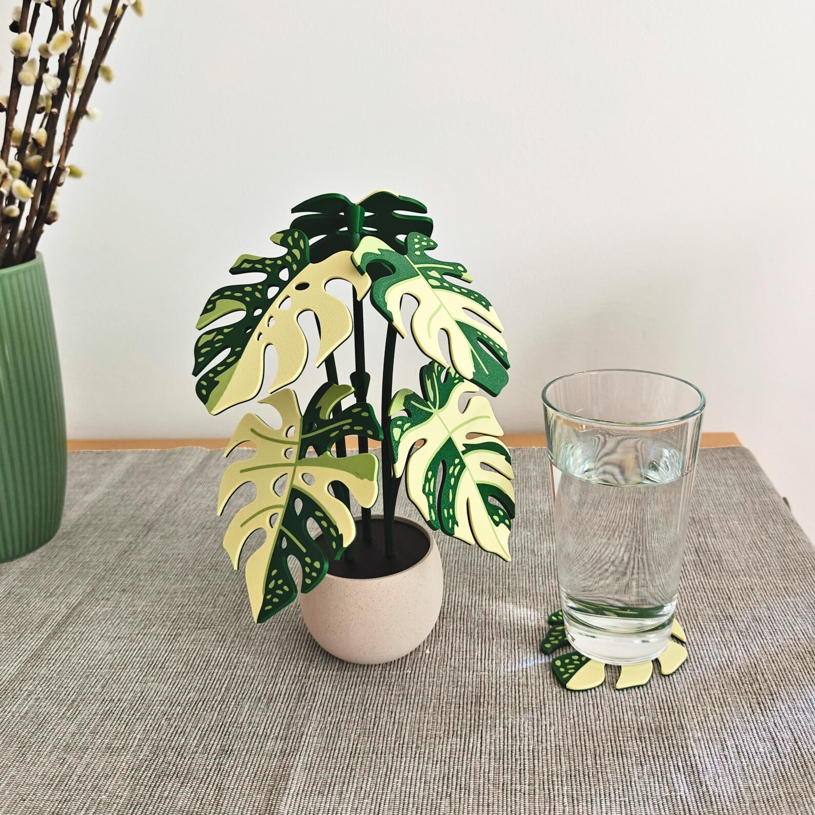 Monstera Thai Coaster Plant, MAGNETIC Leaves, Thai Constellation Leaf ...