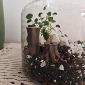 Miniature Tree Stumps, 3D Printed Stump Decor for Terrariums, Dioramas ...