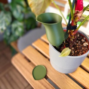 Water Container in the Shape of a Pitcher Plant, Self-watering Planter ...