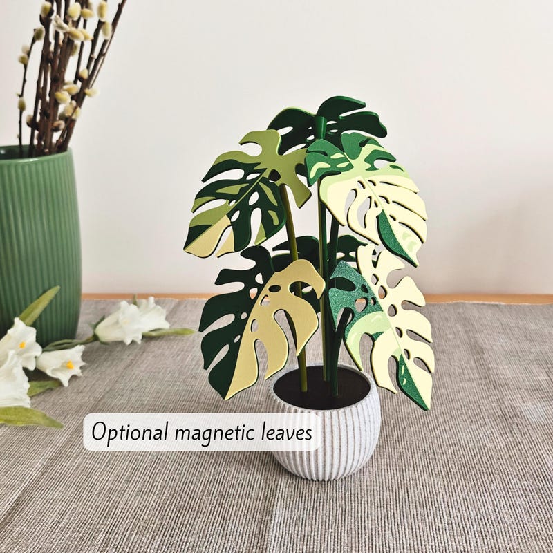 Coaster Plant Magnetic - Etsy