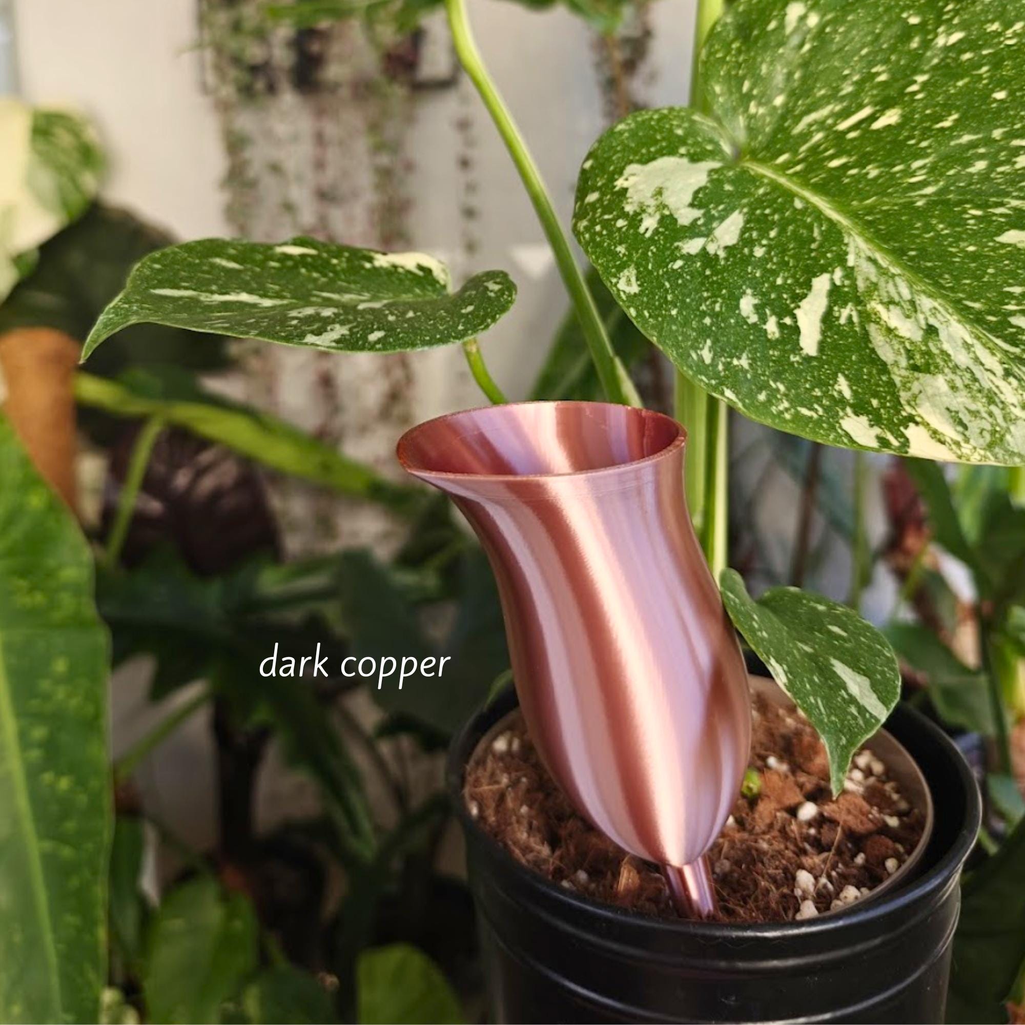 Water Container in the Shape of a Pitcher Plant, Self-watering Planter ...
