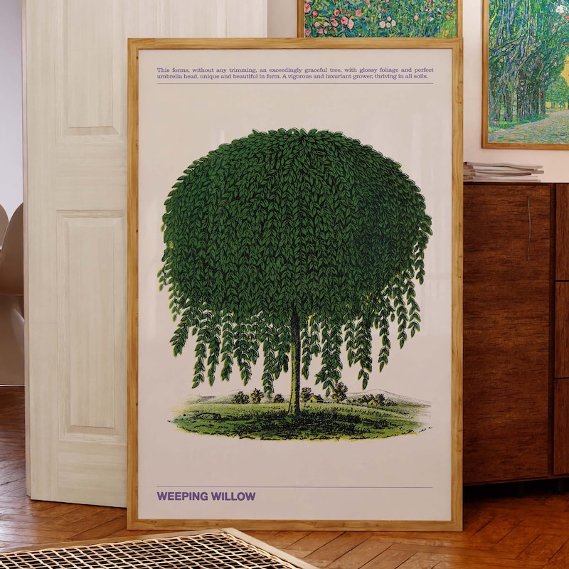 Antique Green Willow - Etsy