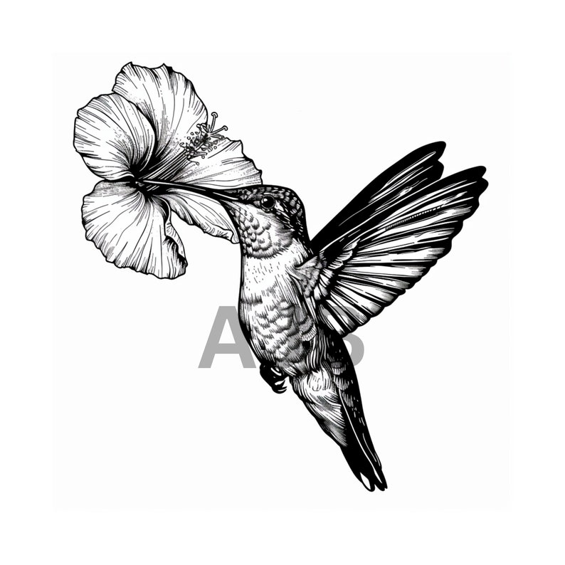 Hummingbird Svg File, Hummingbird Png File, Hummingbird Dxf File ...