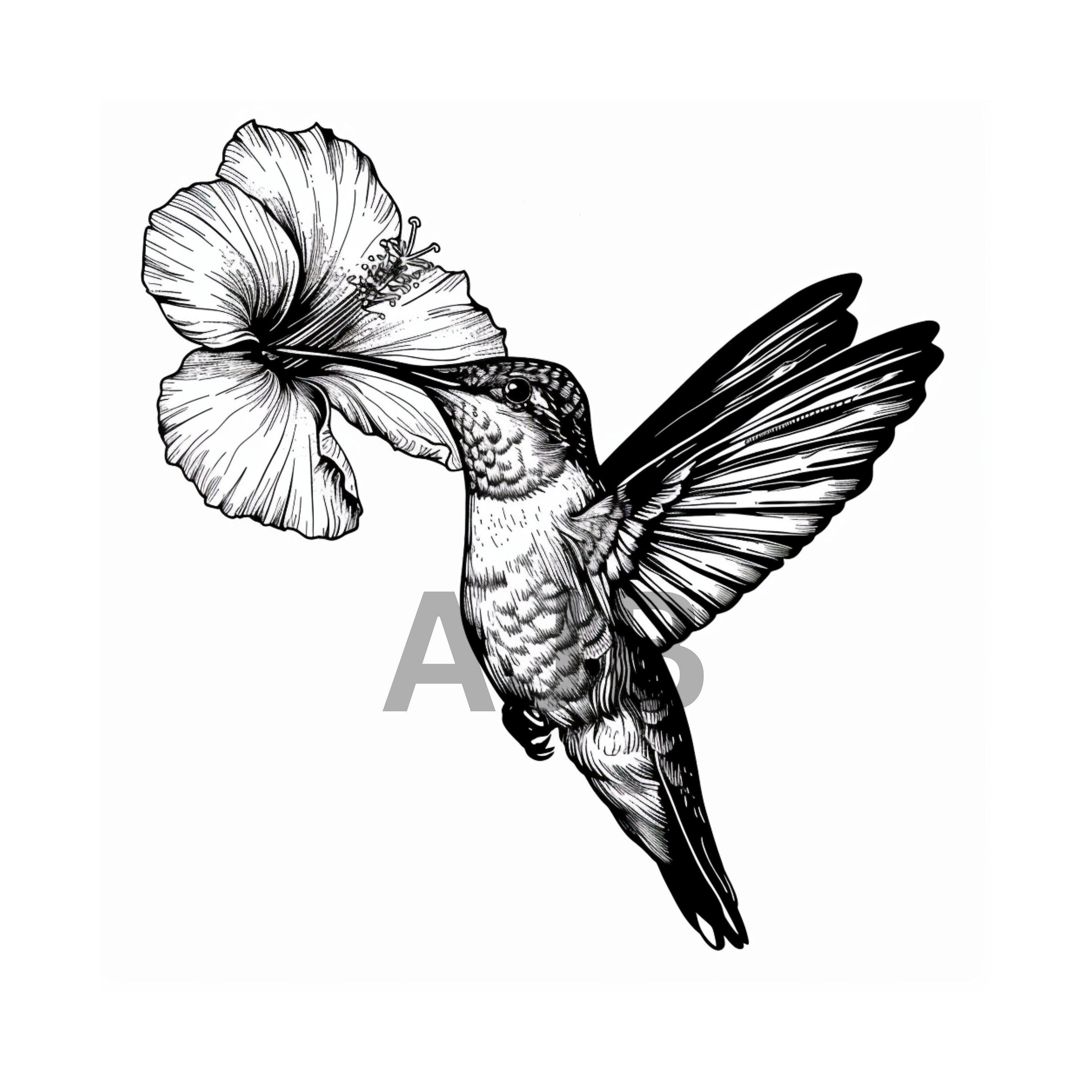 Hummingbird Svg File, Hummingbird Png File, Hummingbird Dxf File ...