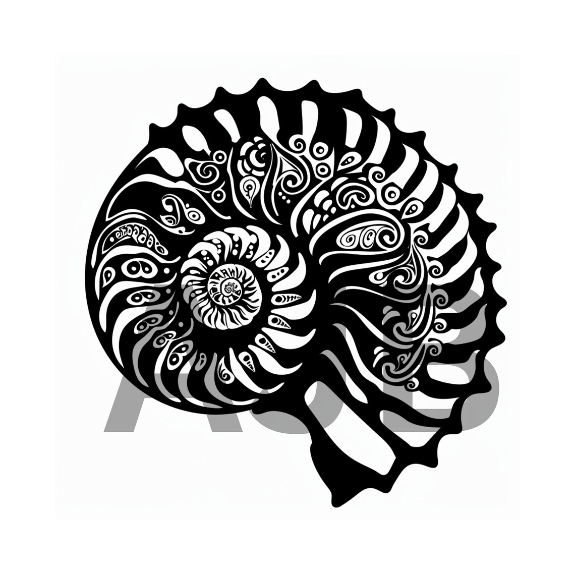 Seashell Svg File, Seashell Png File, Seashell Dxf File, Seashell ...