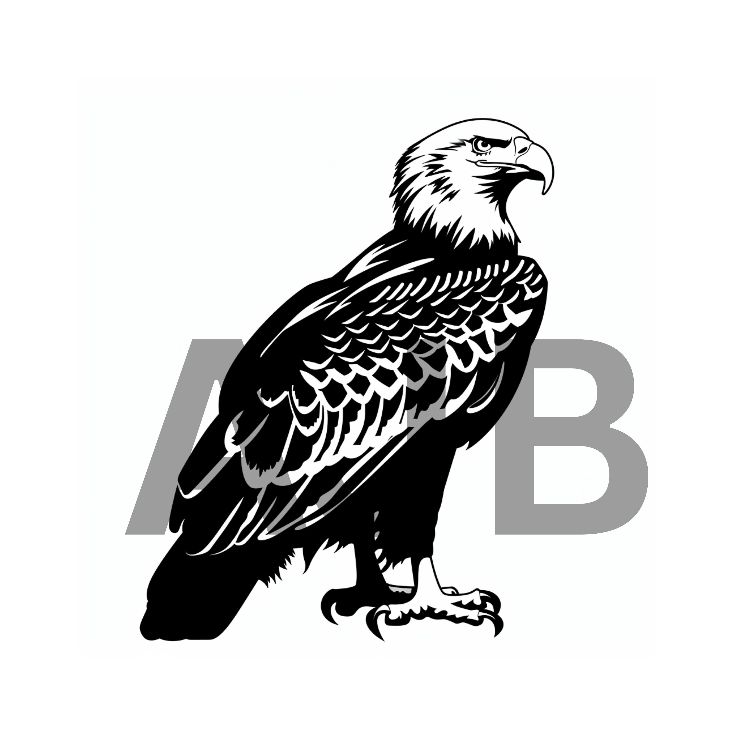 Eagle Head SVG File, Eagle Head DXF, Eagle Head Png, Bald American ...