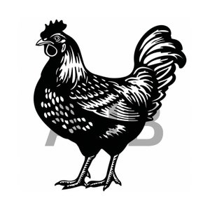 Chicken Vector Art, Farm Animal SVG, PNG, DXF (digital Download) - Etsy