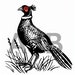 Pheasant Svg File, Pheasant Png File, Pheasant Dxf File, Pheasant Laser ...
