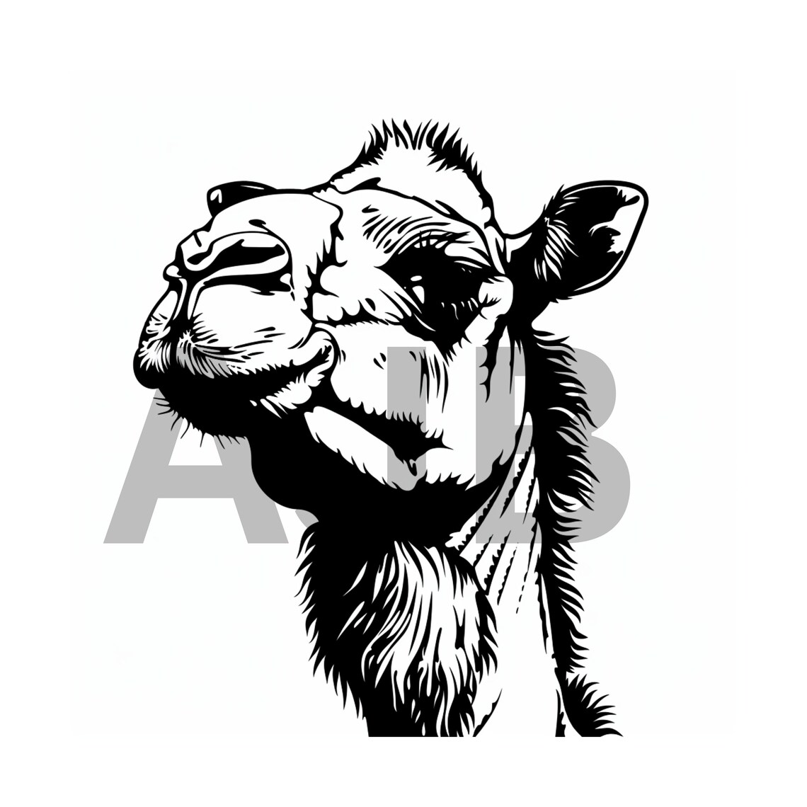 Camel Svg File, Camel Png, Camel Dxf, Camel Cricut File, Camel T-shirt ...