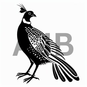 Pheasant Svg File, Pheasant Png File, Pheasant Dxf File, Pheasant Laser ...
