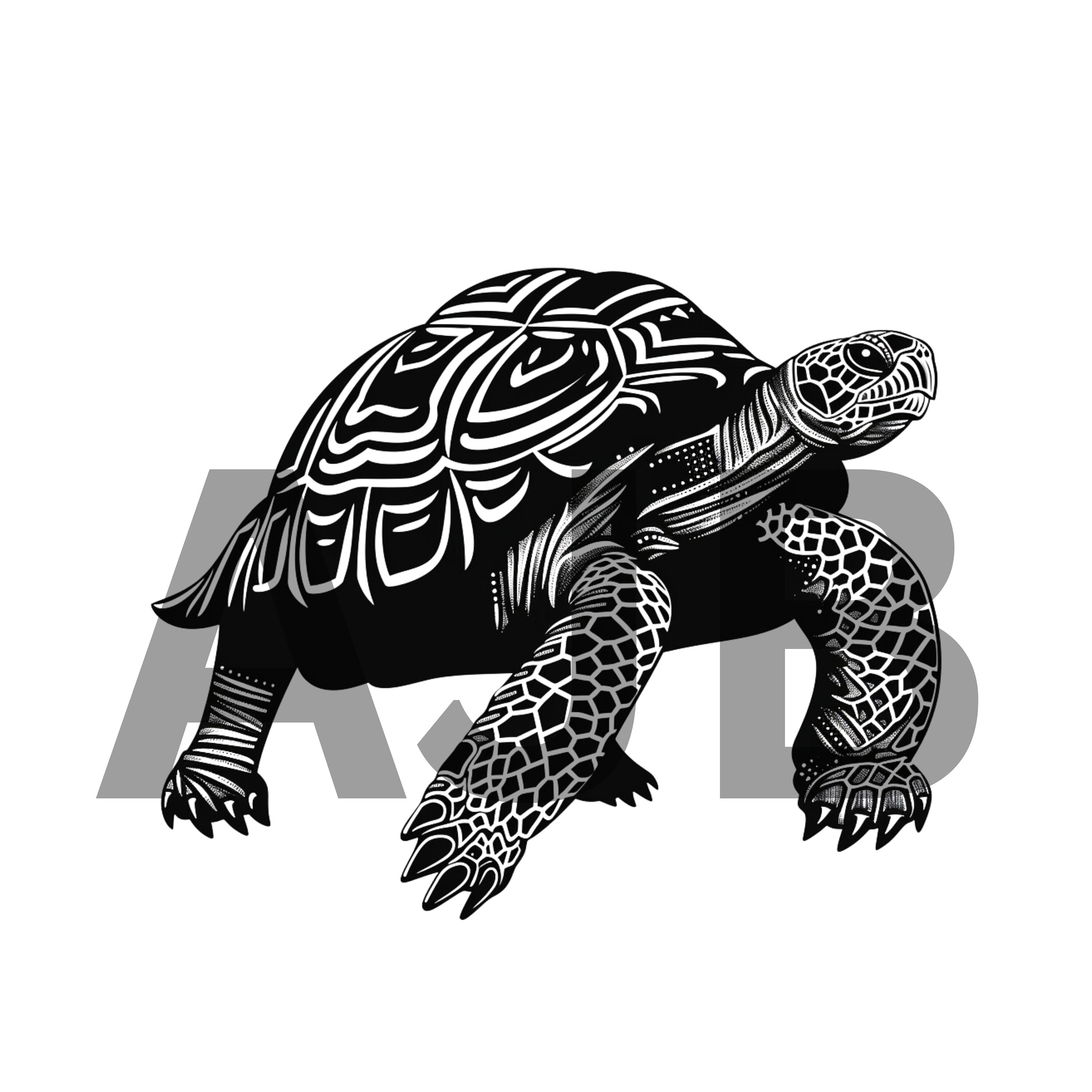 Tortoise Svg File, Tortoise Png File, Tortoise Dxf File, Tortoise Laser ...