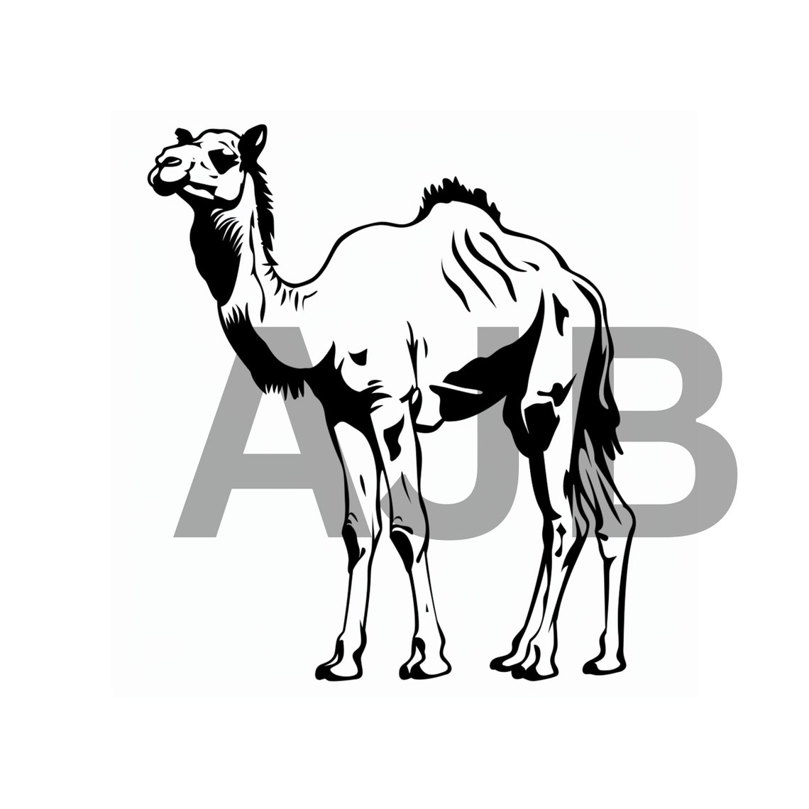 Camel Svg File, Camel Png, Camel Dxf, Camel Cricut File, Camel T-shirt ...