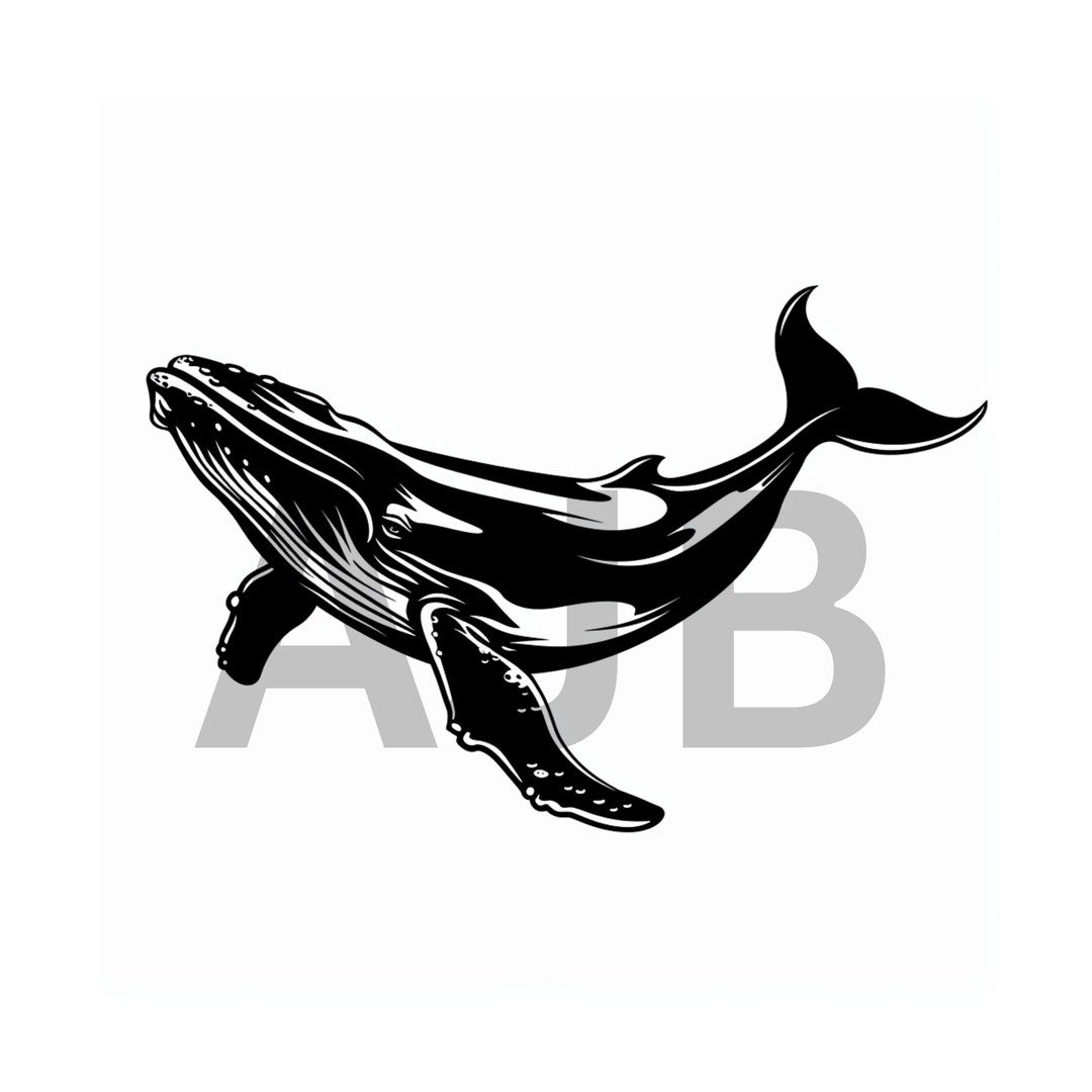 Whale Svg File, Whale Png, Whale Dxf, Whale T-shirt Design, Whale ...