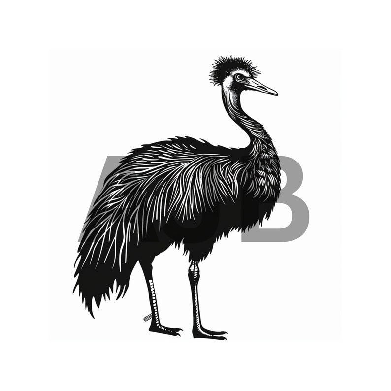 Ostrich Svg, Ostrich Png, Ostrich Dxf, Ostrich Cricut File, Ostrich T ...