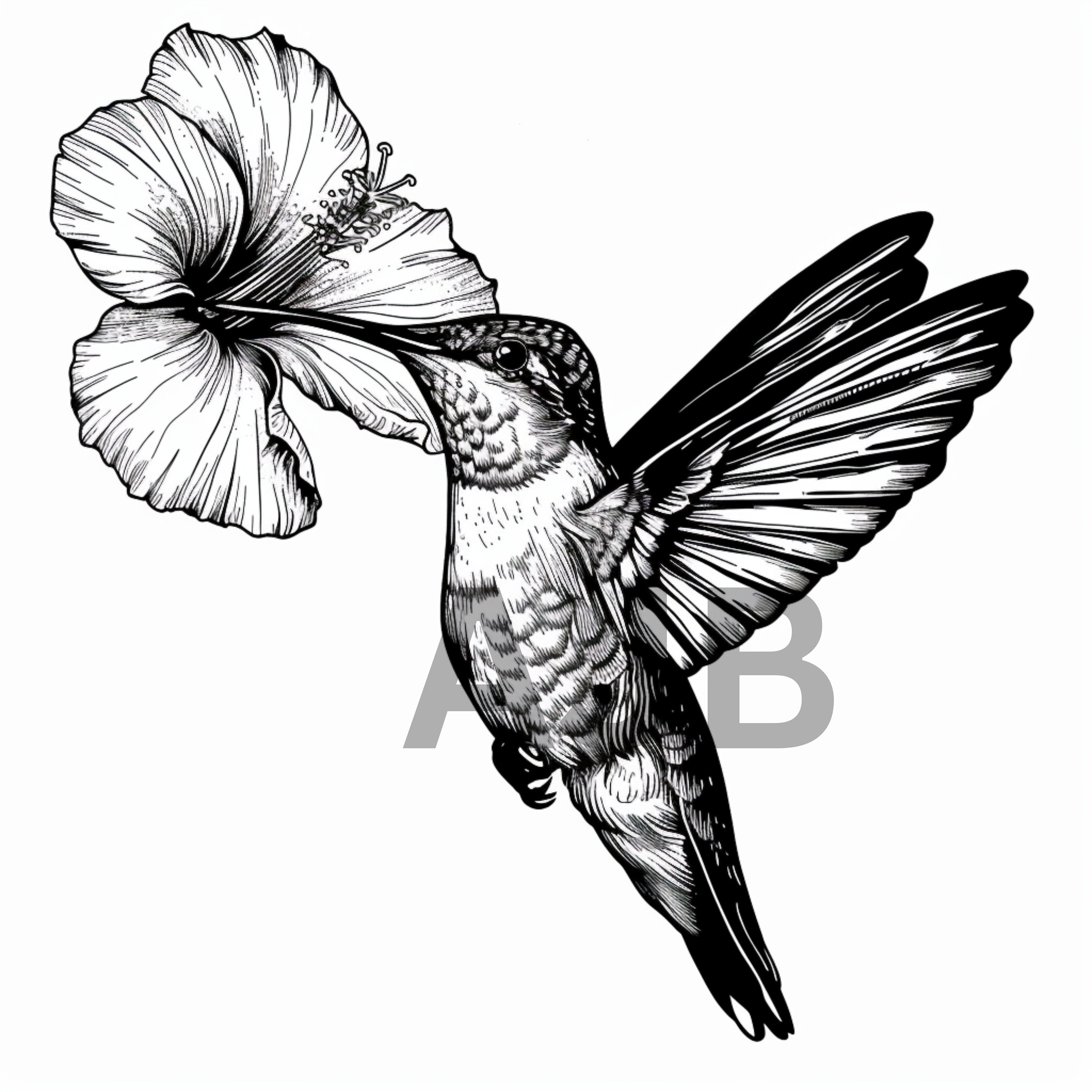 Hummingbird Svg File, Hummingbird Png File, Hummingbird Dxf File ...
