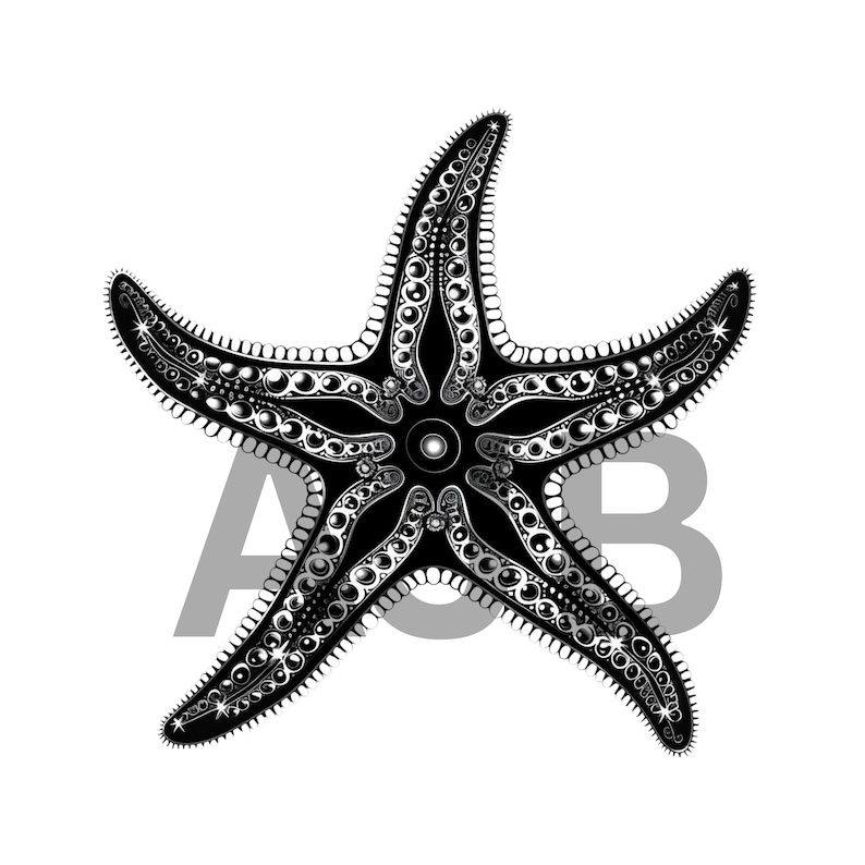 Starfish Svg File, Starfish Png File, Starfish Dxf File, Starfish ...