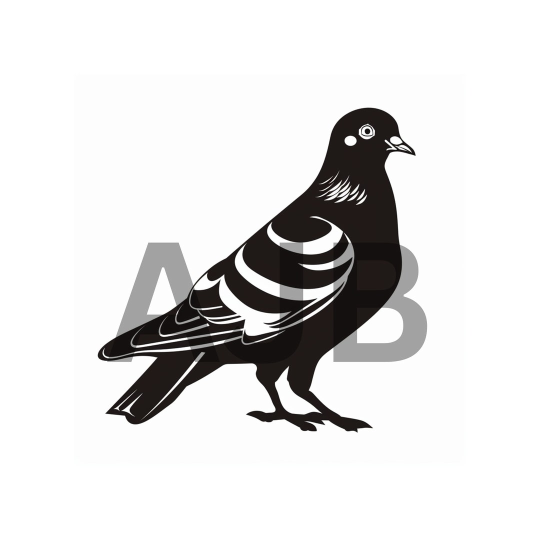 Pigeon Svg File, Pigeon Png File, Pigeon Dxf File, Pigeon Laser ...