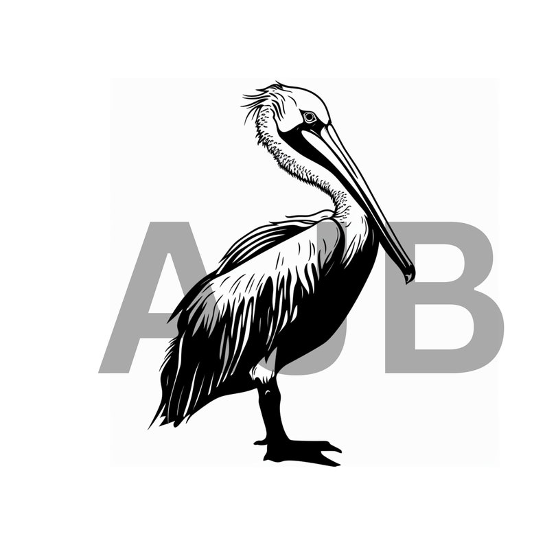 Pelican Svg, Pelican Png, Pelican Dxf, Pelican Cricut File, Pelican T ...