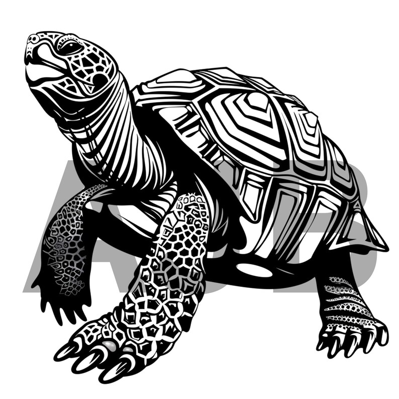 Tortoise Svg File, Tortoise Png File, Tortoise Dxf File, Tortoise Laser ...