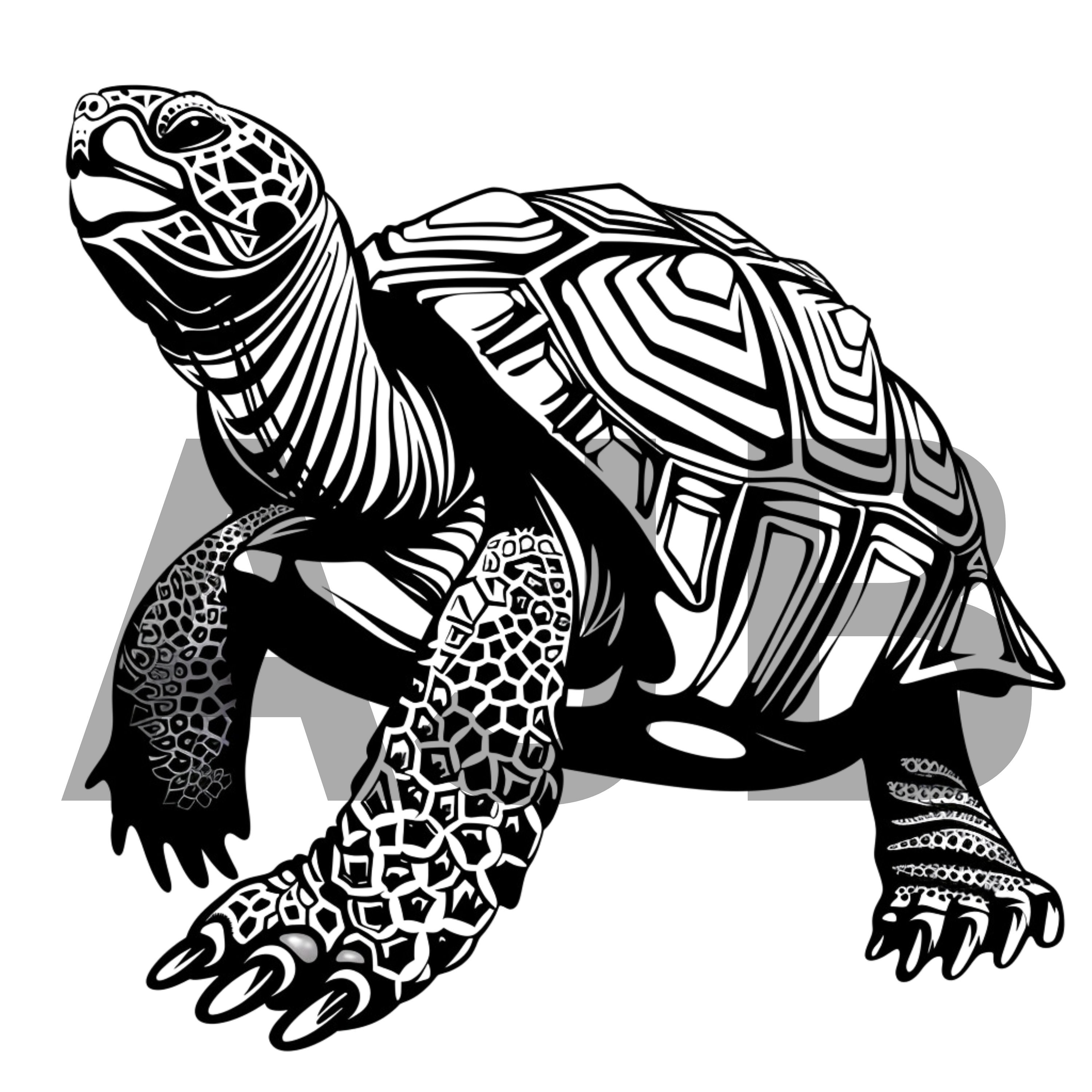 Tortoise Svg File, Tortoise Png File, Tortoise Dxf File, Tortoise Laser ...