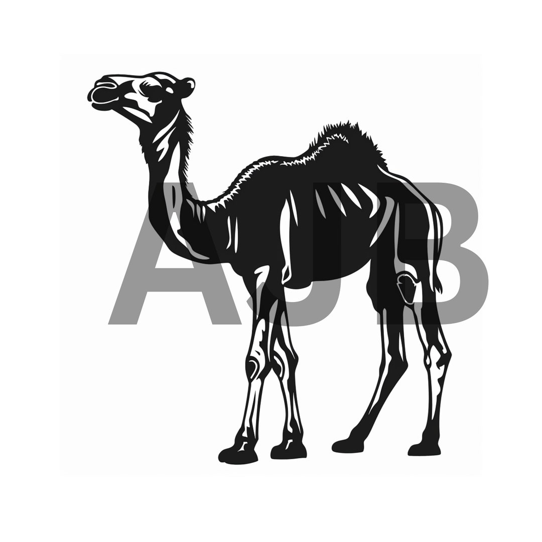 Camel Svg File, Camel Png, Camel Dxf, Camel Cricut File, Camel T-shirt ...