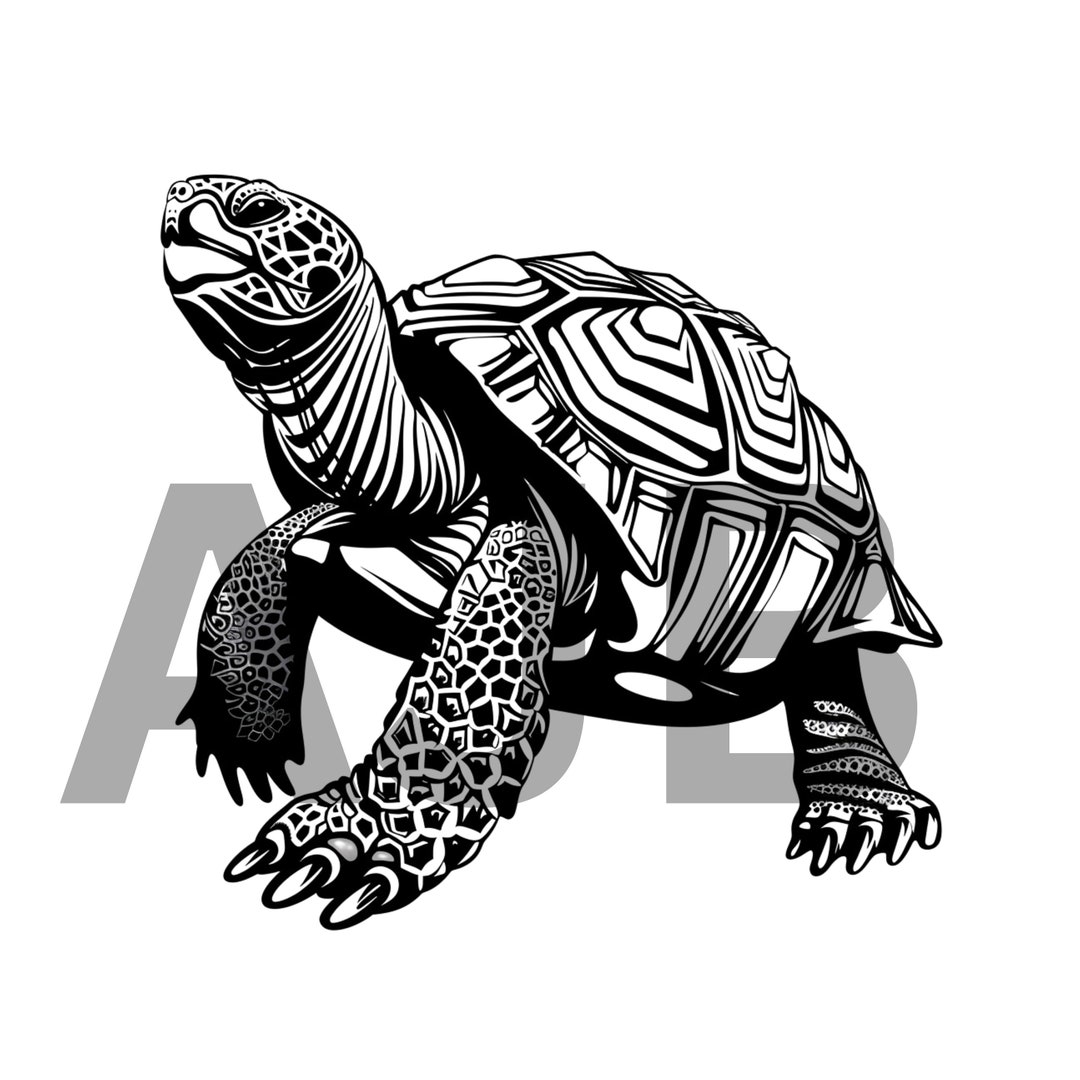 Tortoise Svg File, Tortoise Png File, Tortoise Dxf File, Tortoise Laser ...
