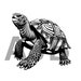 Tortoise Svg File, Tortoise Png File, Tortoise Dxf File, Tortoise Laser ...
