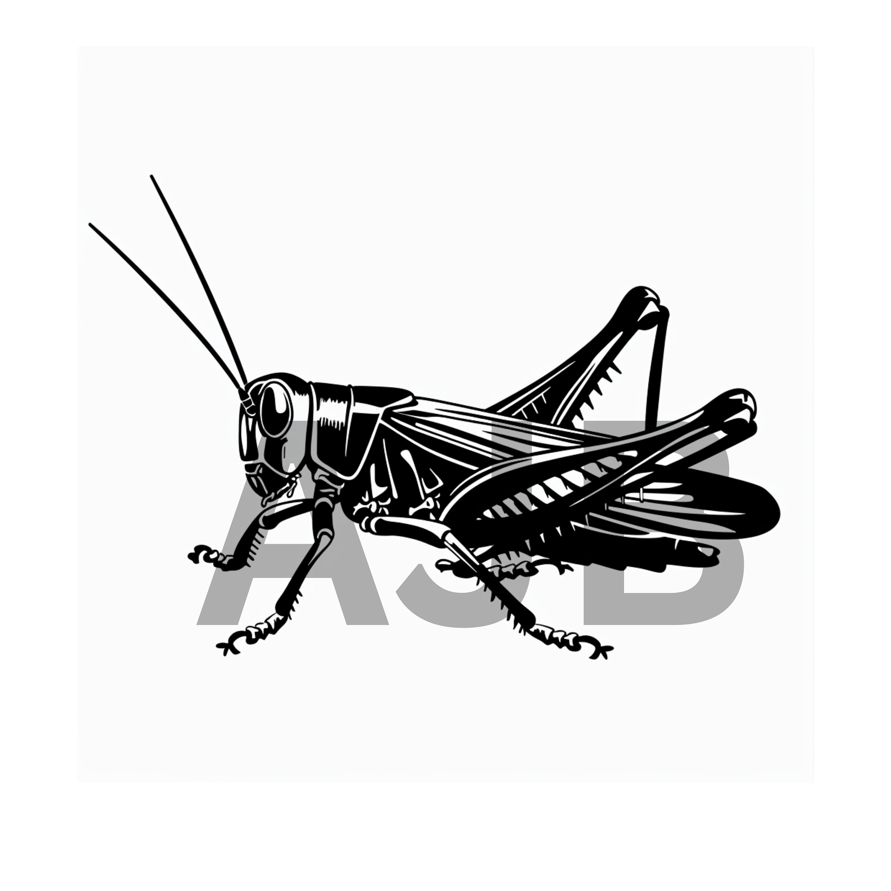 Grasshopper Svg, Grasshopper Png, Grasshopper Dxf, Grasshopper Cricut ...