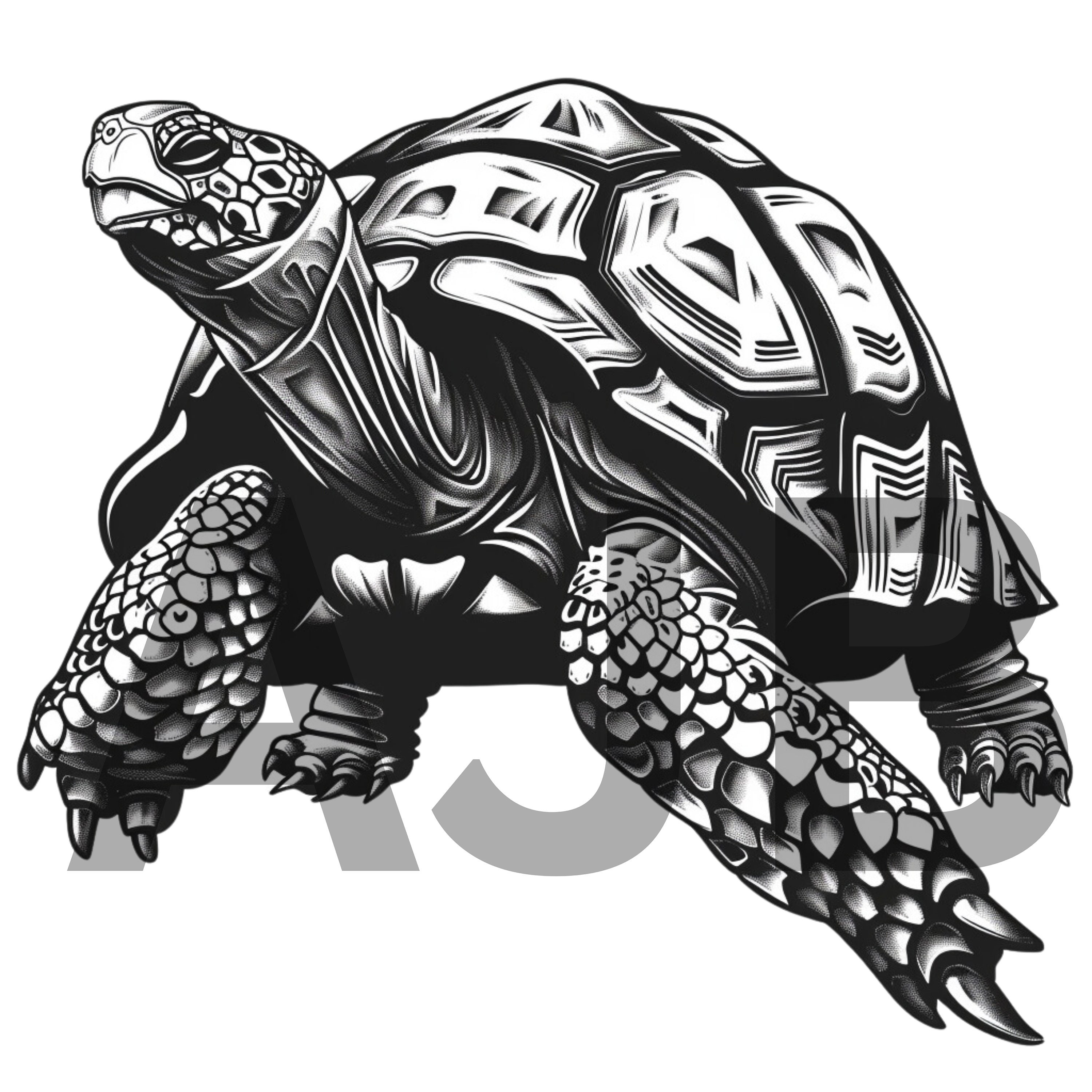 Tortoise Svg File, Tortoise Png File, Tortoise Dxf File, Tortoise Laser ...