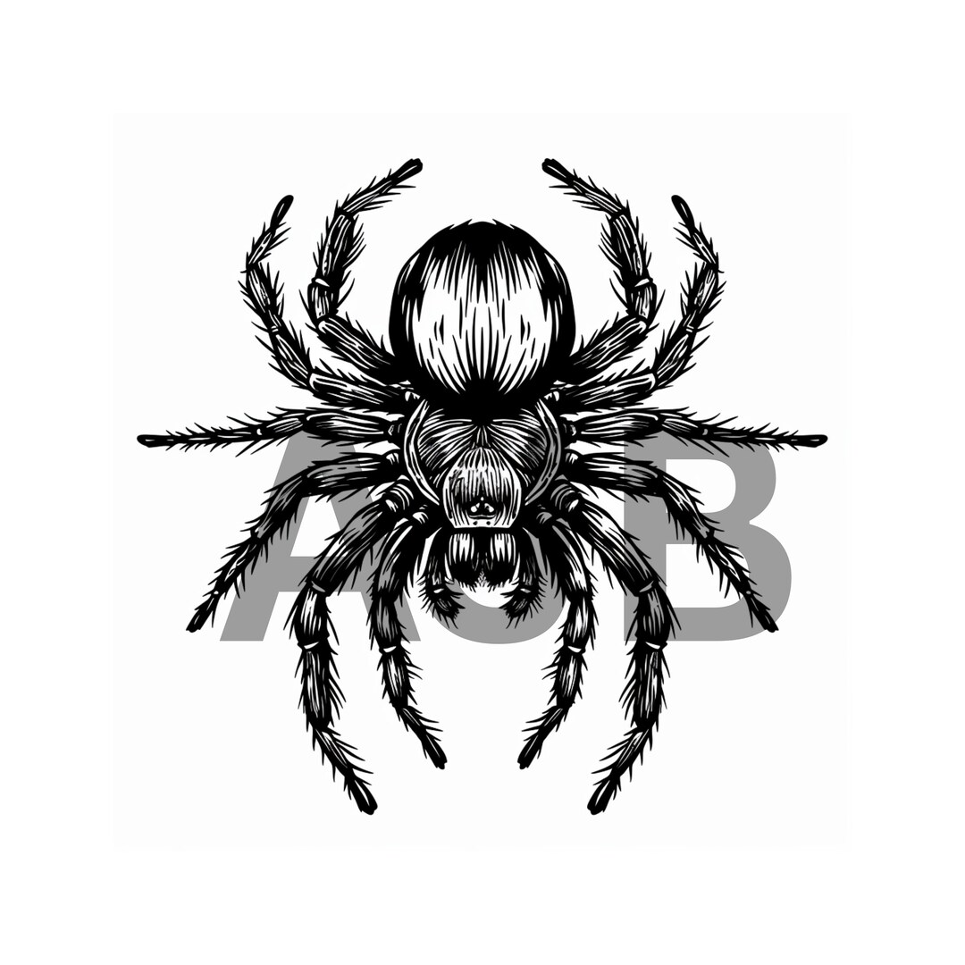 Spider Svg, Spider Png, Spider Dxf, Spider Cricut File, Spider T-shirt ...