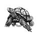 Tortoise Svg File, Tortoise Png File, Tortoise Dxf File, Tortoise Laser ...