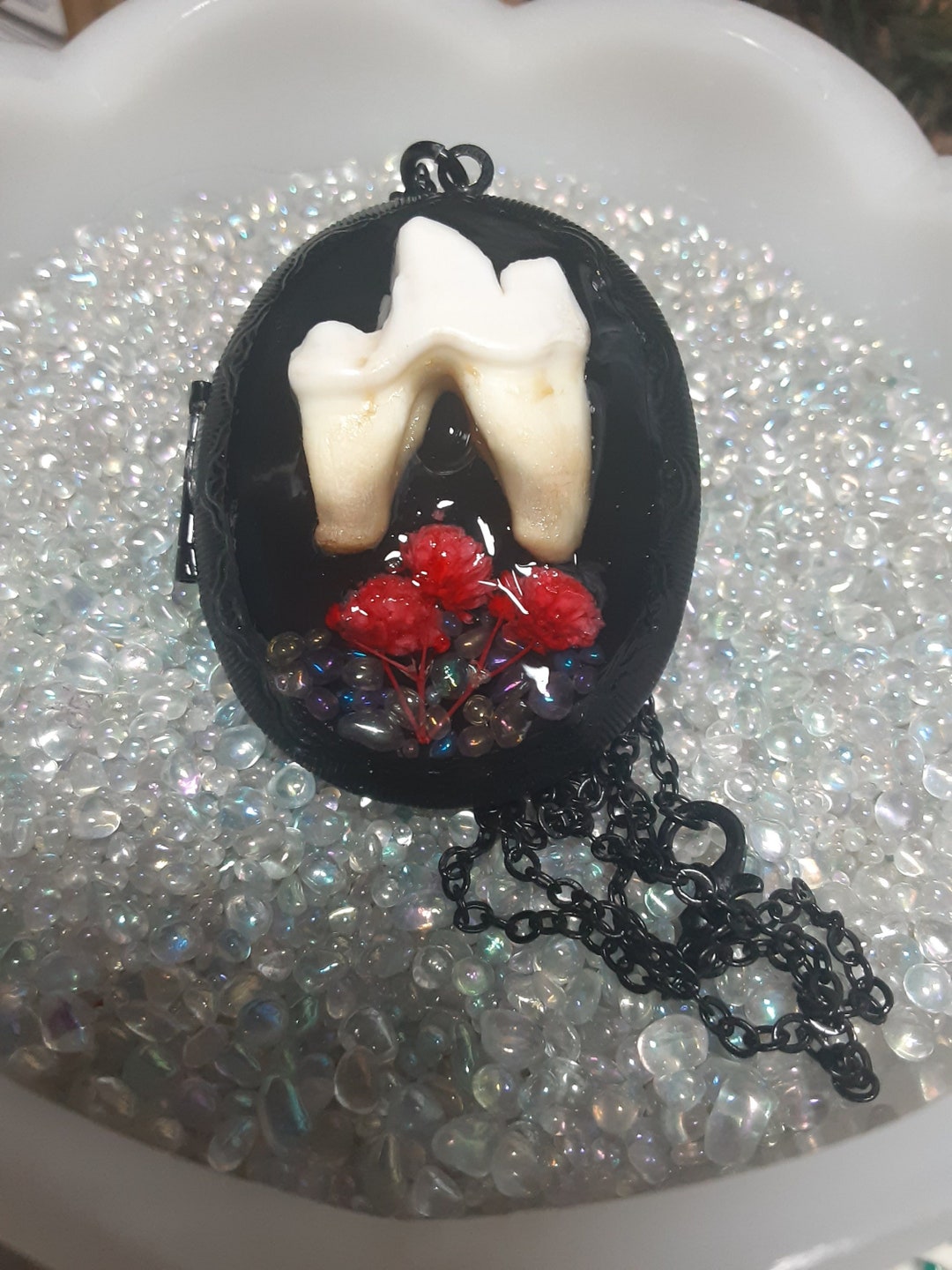 Tooth Locket, Art Jewelry, Gothic Fashion, Foraged Tooth Necklace ...