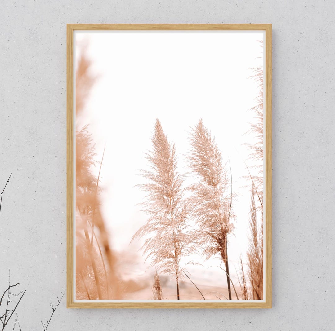Boho Pampas Grass Decor, Natural Reed Plumes for Home, Aesthetic Wall ...