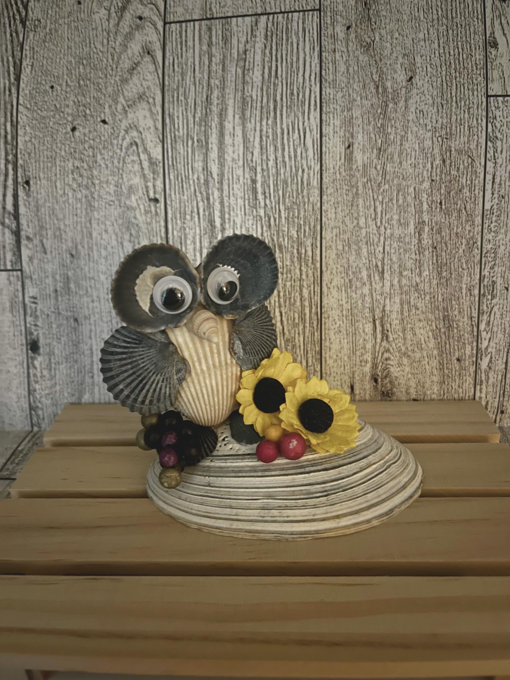 Sea Shell Owl - Etsy