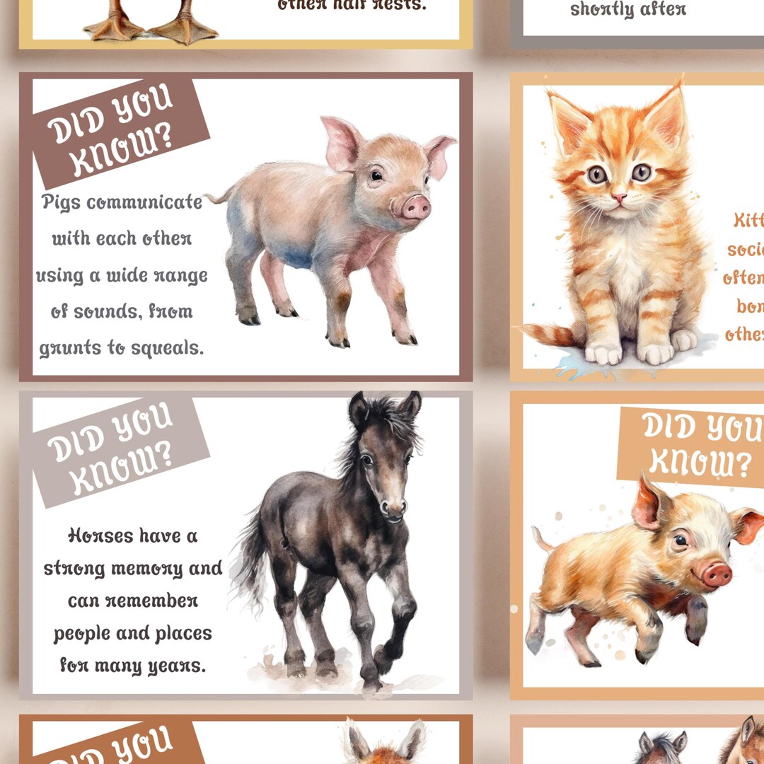 Farm Animal Facts Lunchbox Notes for Kids | Animal Facts for Kids | 24 ...