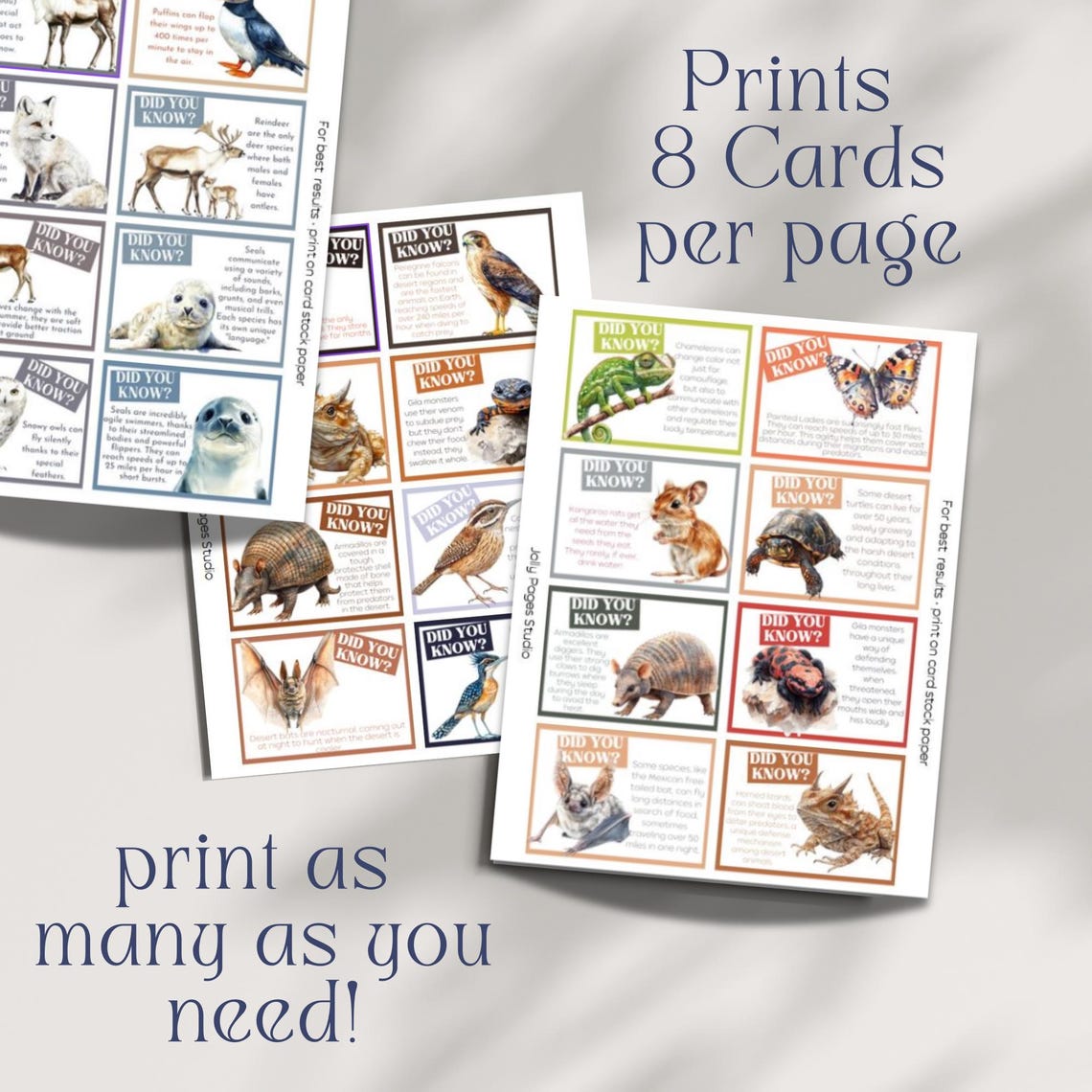 Huge Bundle Animal Facts Lunchbox Notes for Kids | Woodland Safari Farm ...