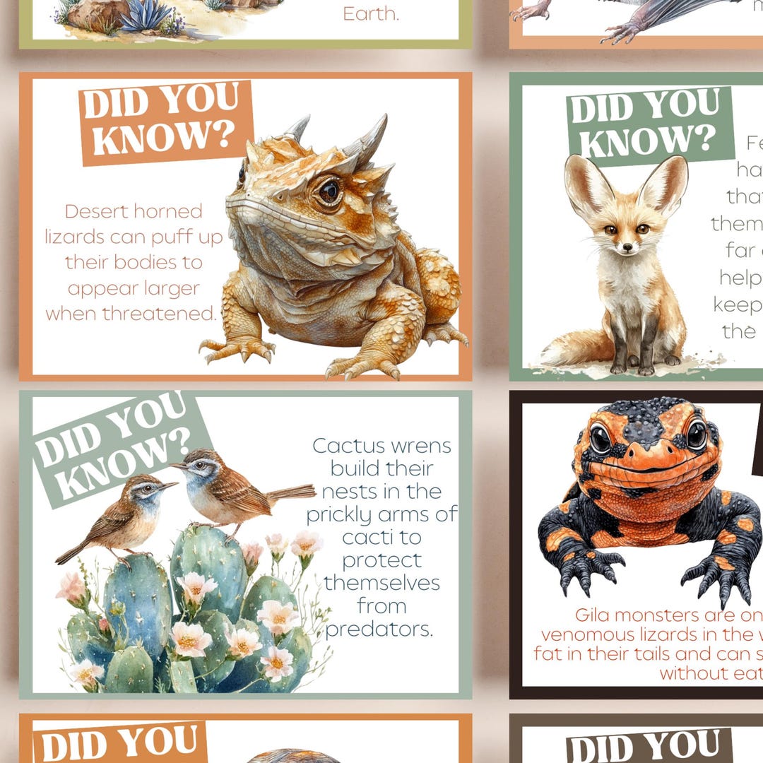 Desert Animal Facts Lunchbox Notes for Kids | Life in the Desert ...